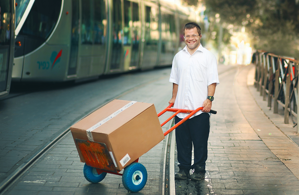 Employment Options - עלי שיח